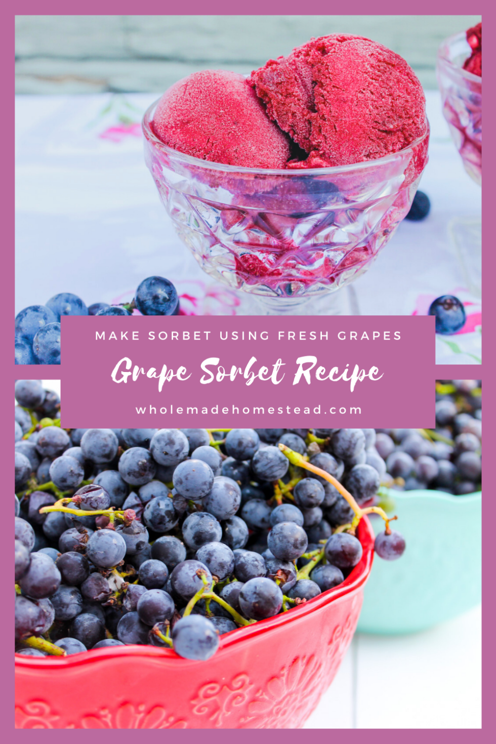 Fresh Concord Grape Sorbet - WholeMade Homestead