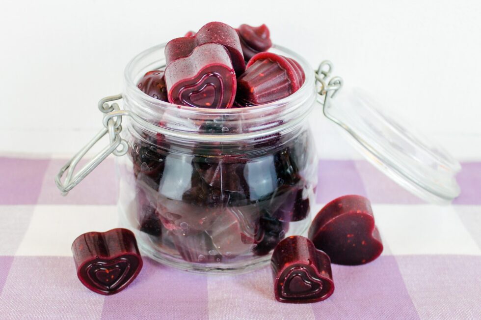Berry Fruit Snack Recipe - WholeMade Homestead