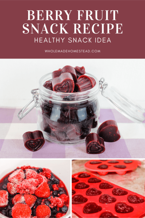 Berry Fruit Snack Recipe - WholeMade Homestead