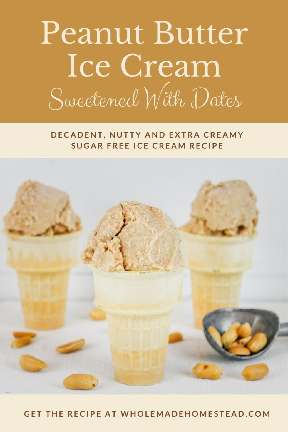 Peanut Butter Ice Cream Sweetened With Dates - WholeMade Homestead