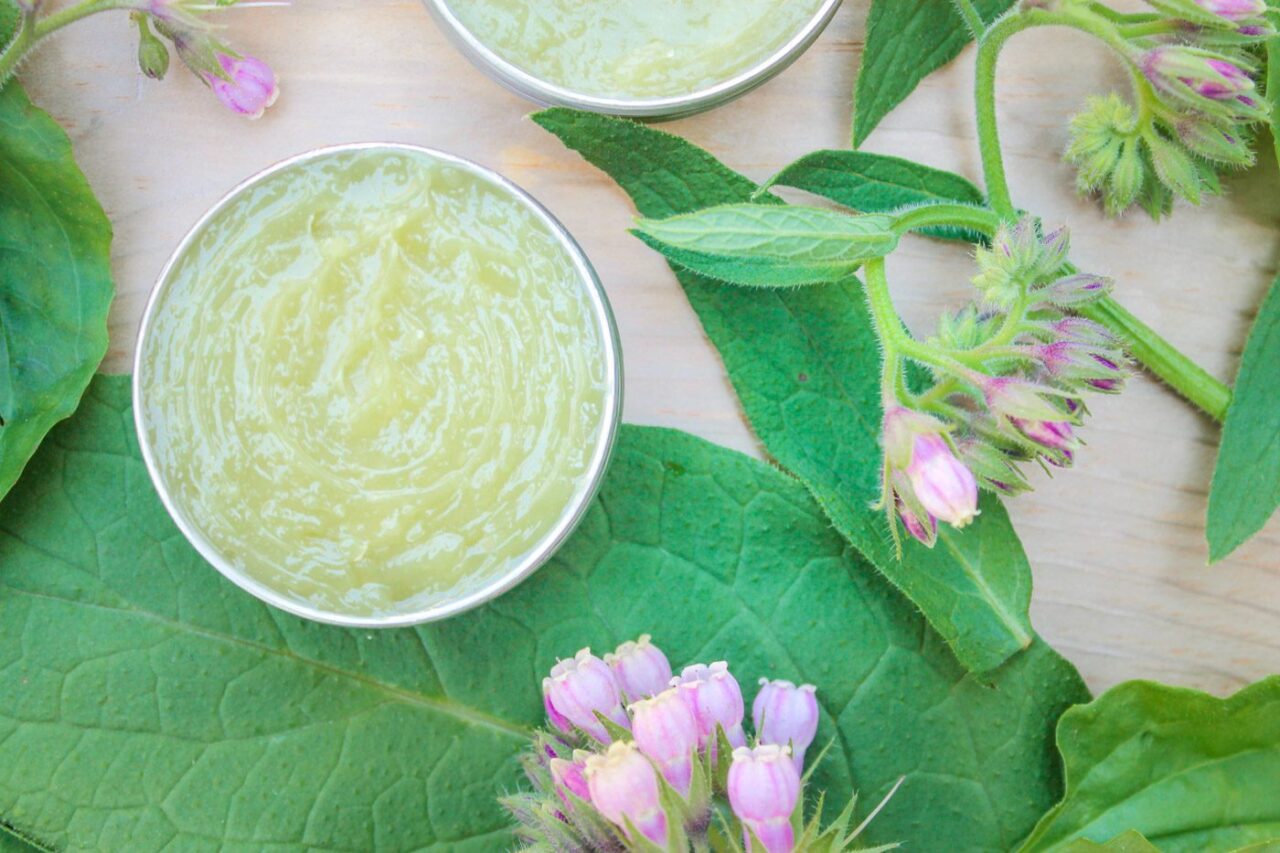Comfrey Healing Balm - WholeMade Homestead