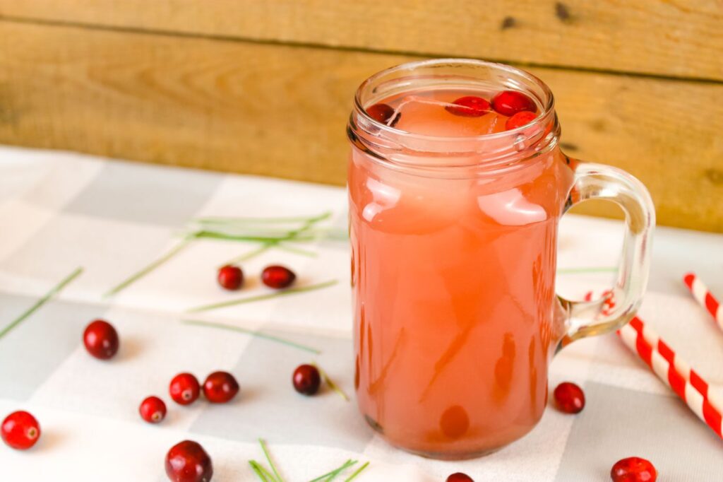 Cranberry Orange Spice Whey Soda - WholeMade Homestead